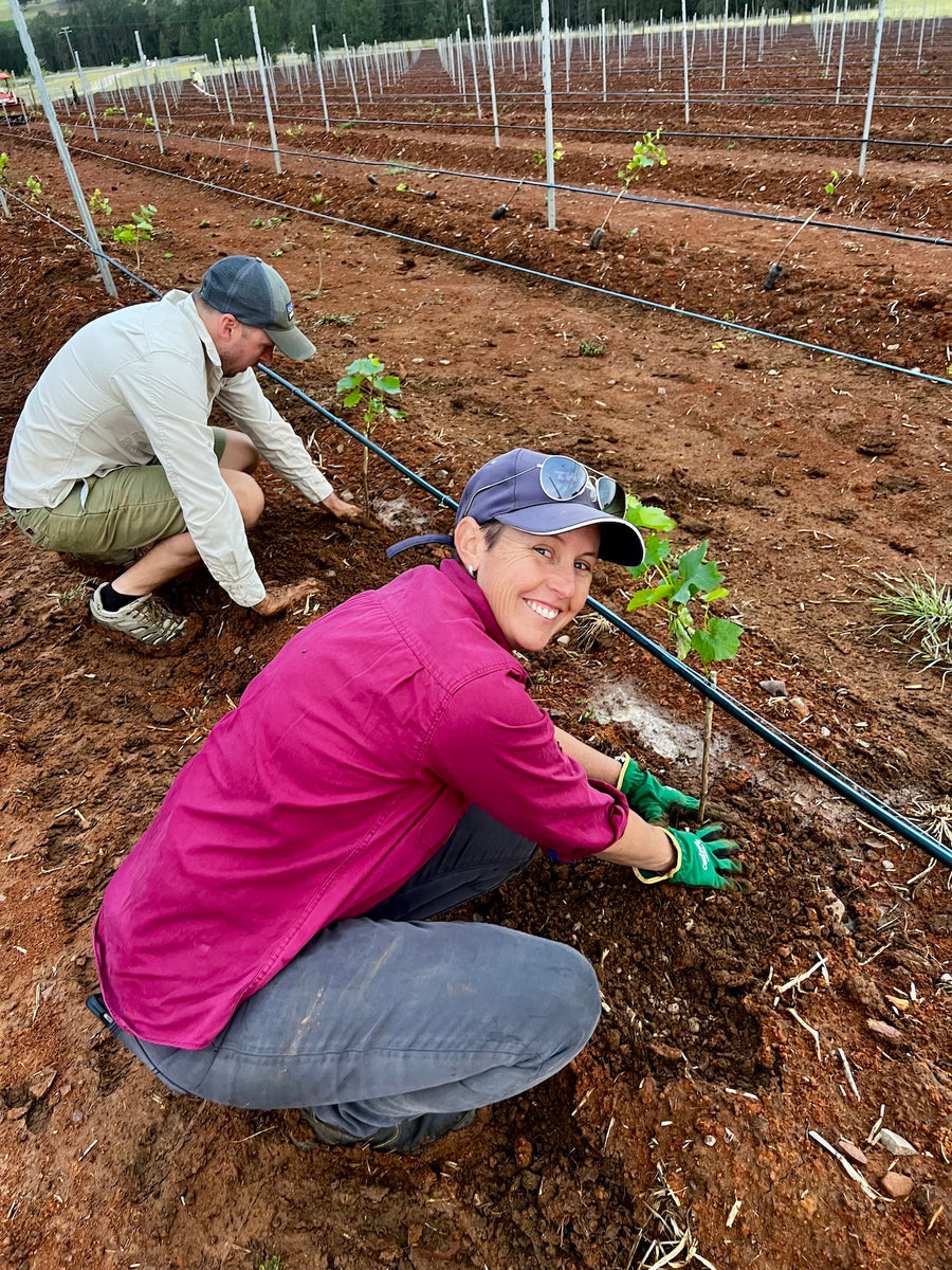Sponsor a Vine - Founders Club | Approachable, affordable wines